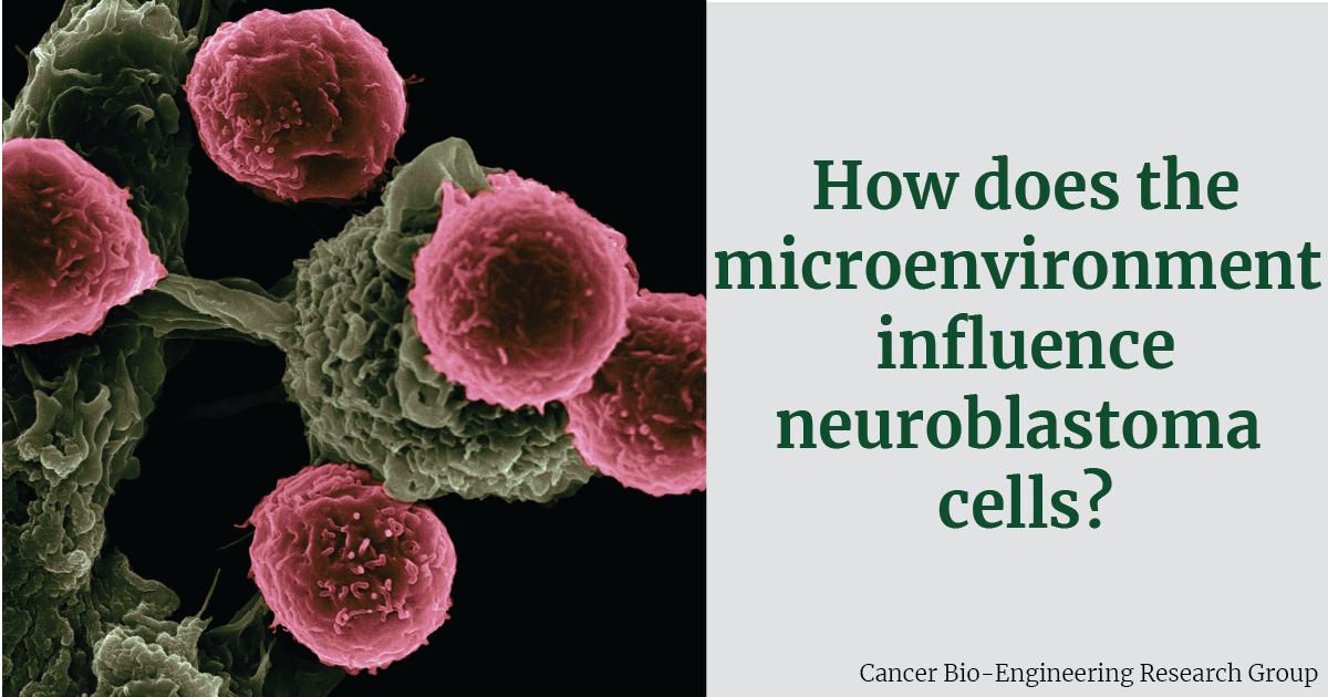 Blog about neuroblastoma biology – My WordPress Blog is about ...